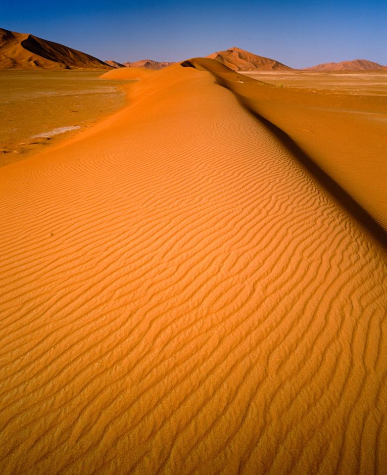 Longitudinal Sand Dunes